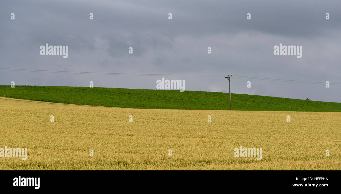 Kingdom of fife countryside hi-res stock photography and images - Alamy