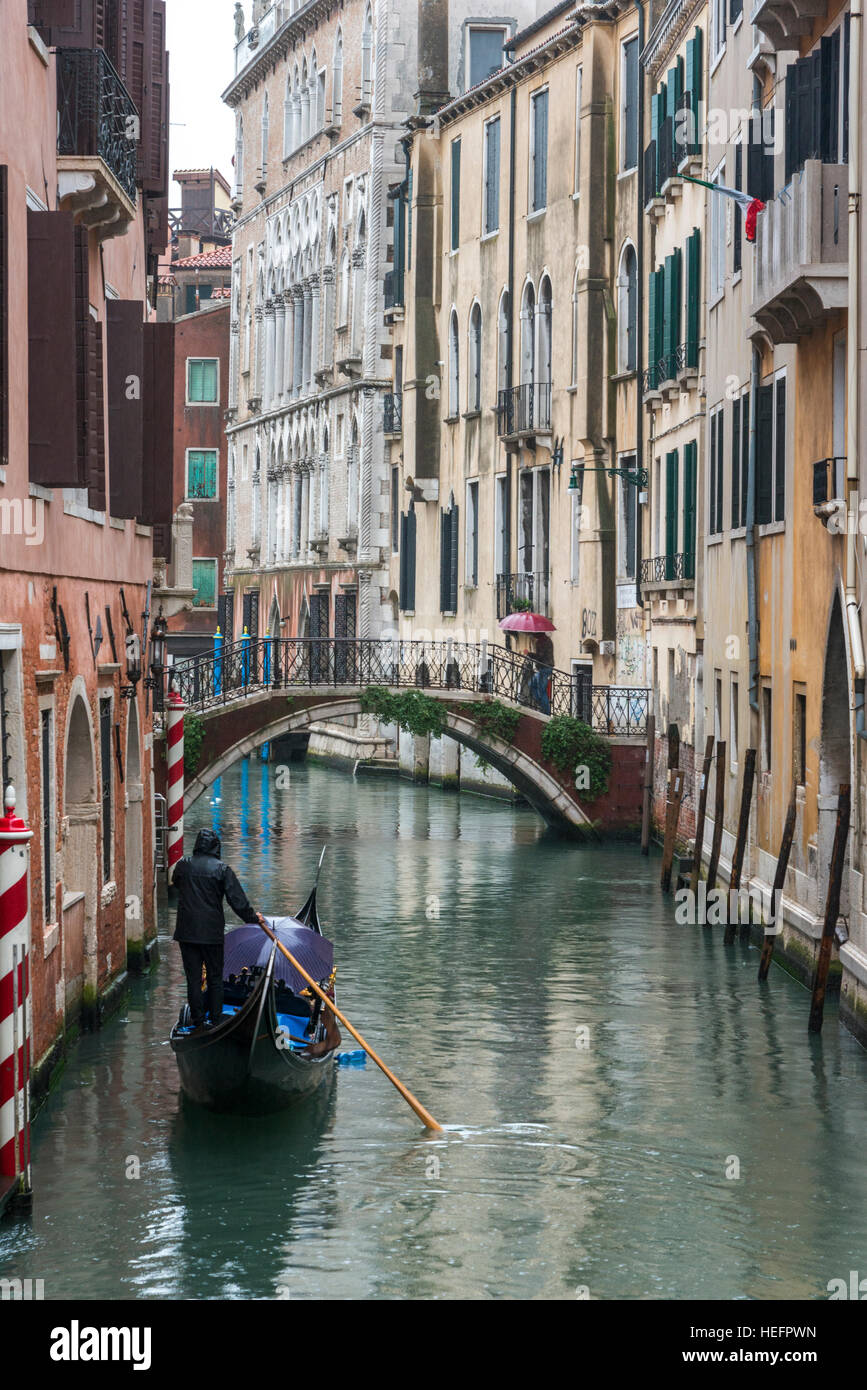 Rear view of person rowing gondola in canal, Castello, Venice, Veneto ...
