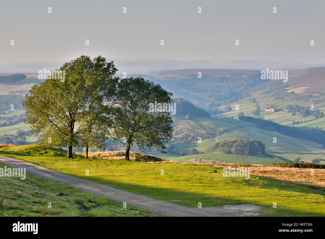 Rosedale hi-res stock photography and images - Alamy