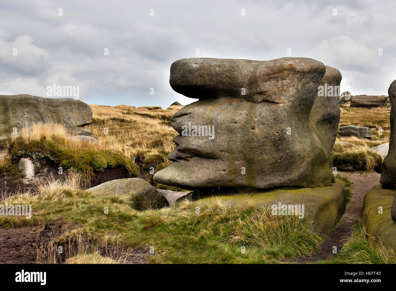 Packs hi-res stock photography and images - Alamy