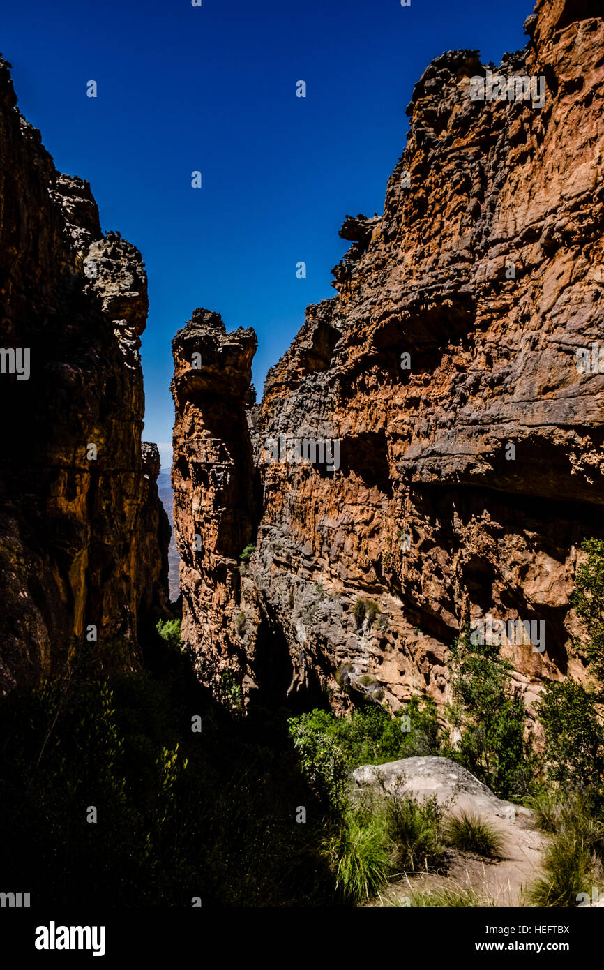 Wolfberg hi-res stock photography and images - Alamy