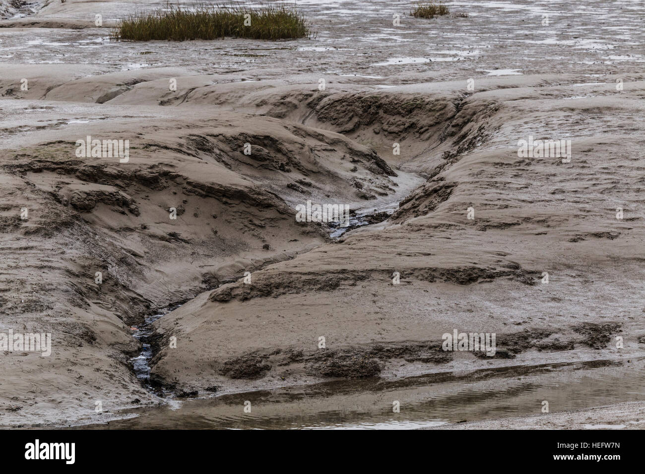 Deep Gully on Mudflats at Old Leigh at Low Tide Stock Photo - Alamy