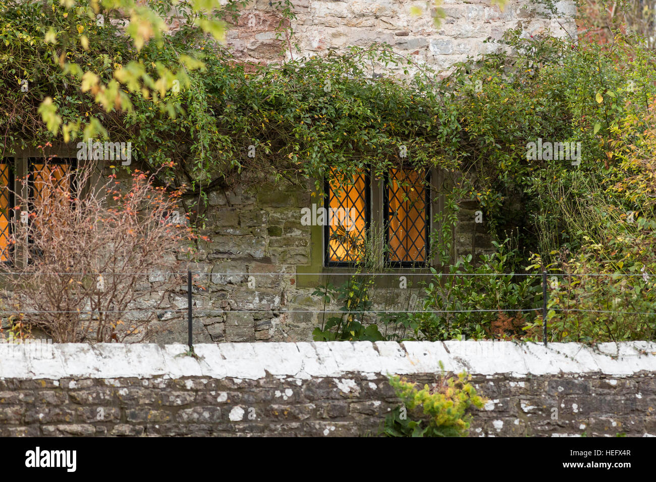 old cottage window with leaded windows and warming light Stock Photo ...