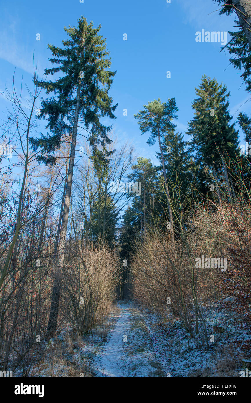 Marmagen hi-res stock photography and images - Alamy