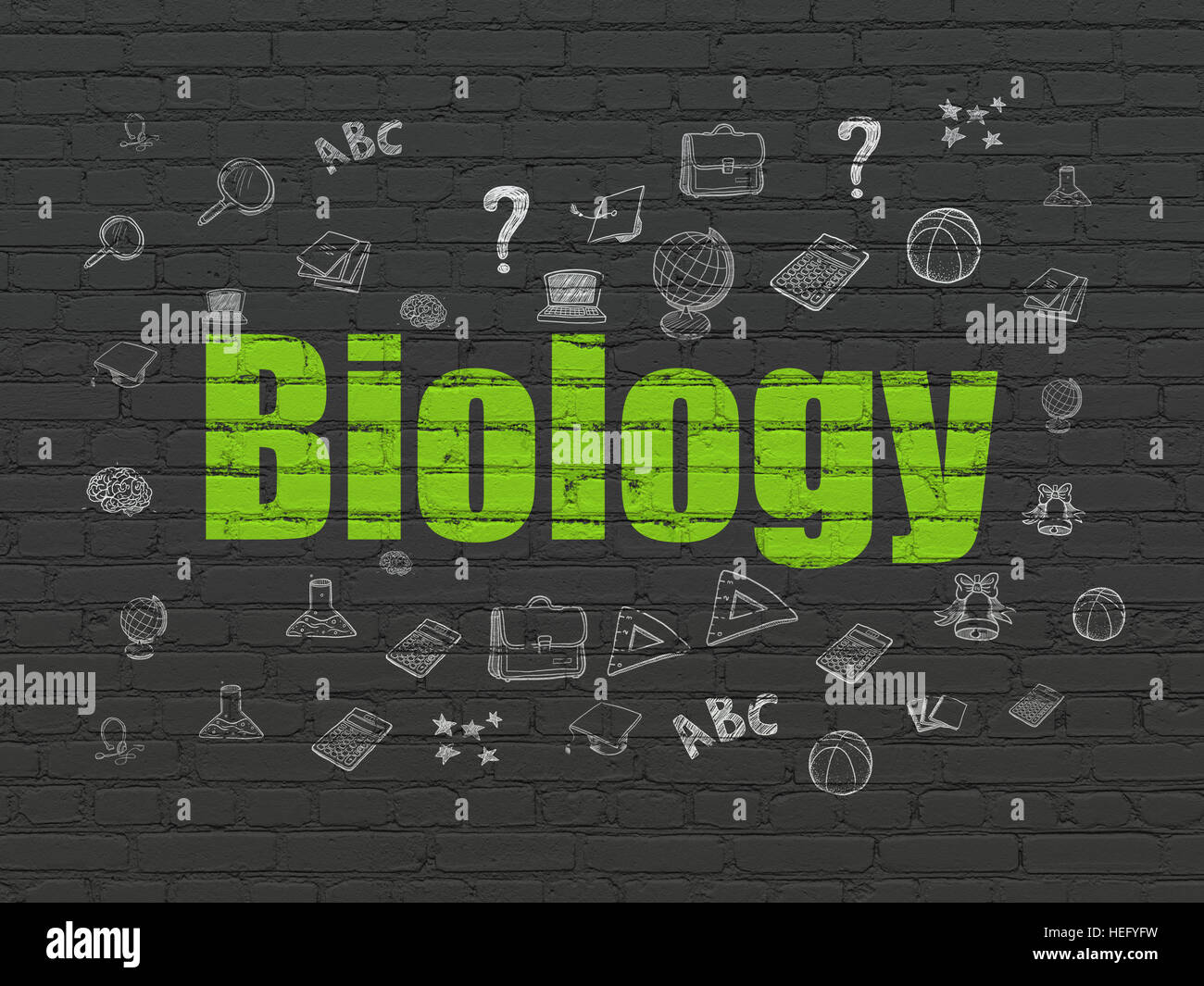 Studying concept: Biology on wall background Stock Photo - Alamy