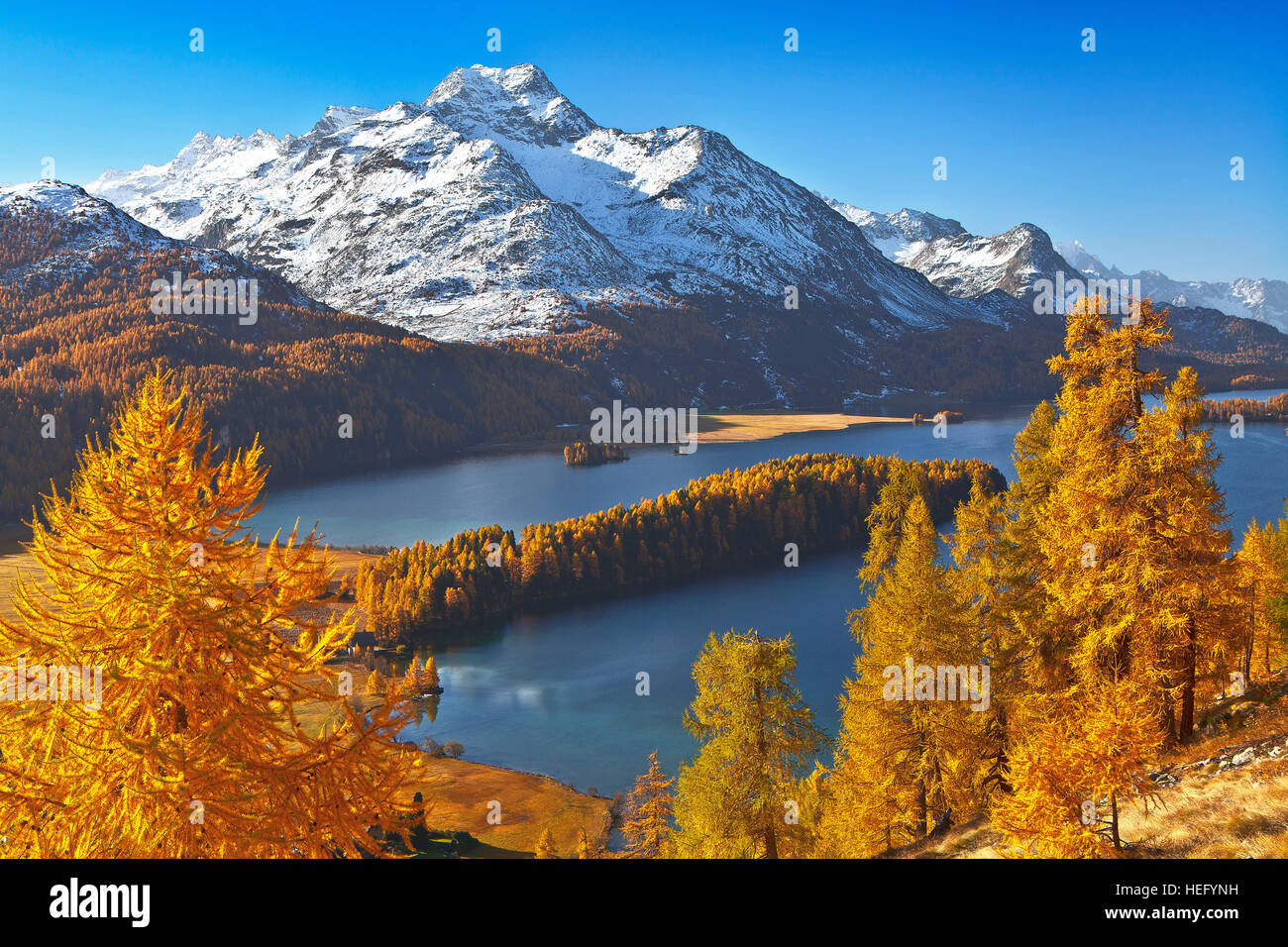 Switzerland, Grisons, Lake Sils in the Upper Engadine Stock Photo - Alamy