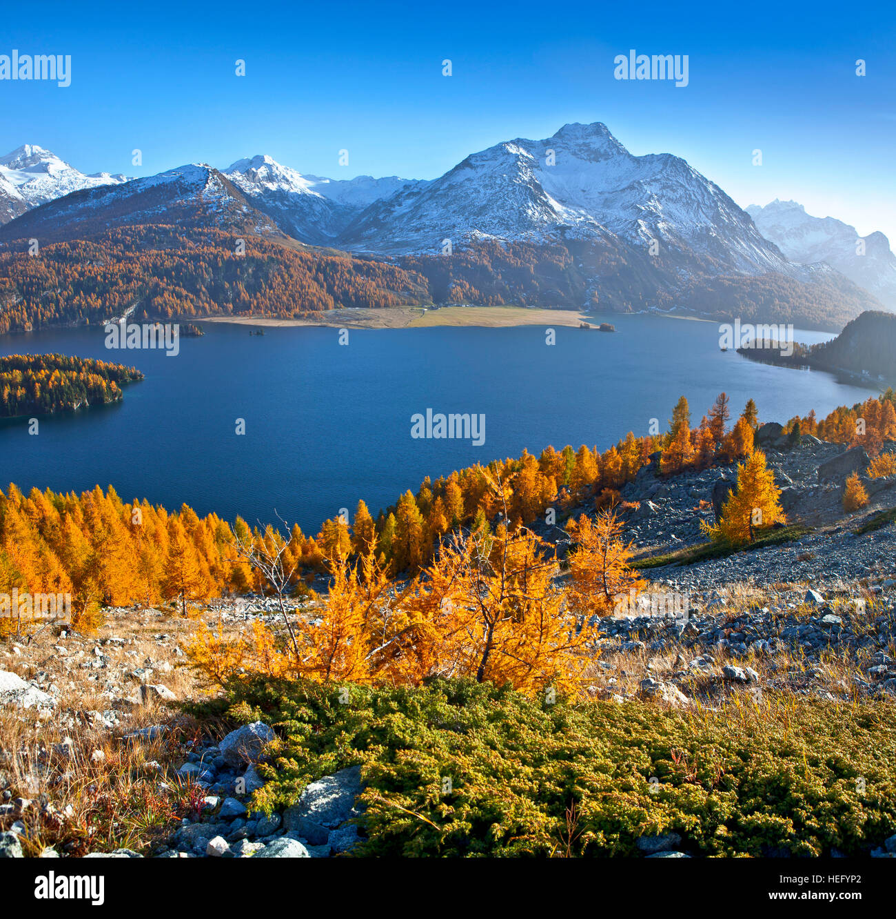Switzerland, Grisons, Lake Sils in the Upper Engadine Stock Photo - Alamy