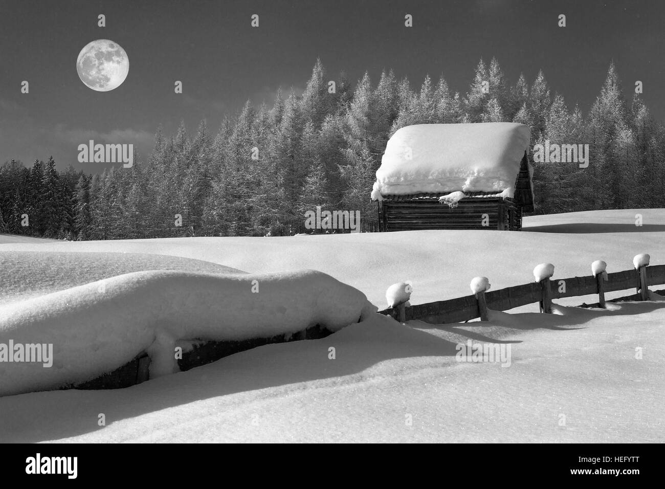 Winter moon night Black and White Stock Photos & Images - Alamy