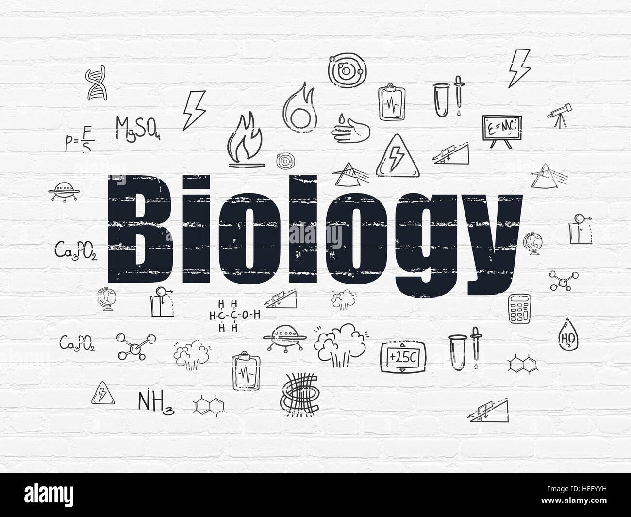 Science concept: Biology on wall background Stock Photo - Alamy
