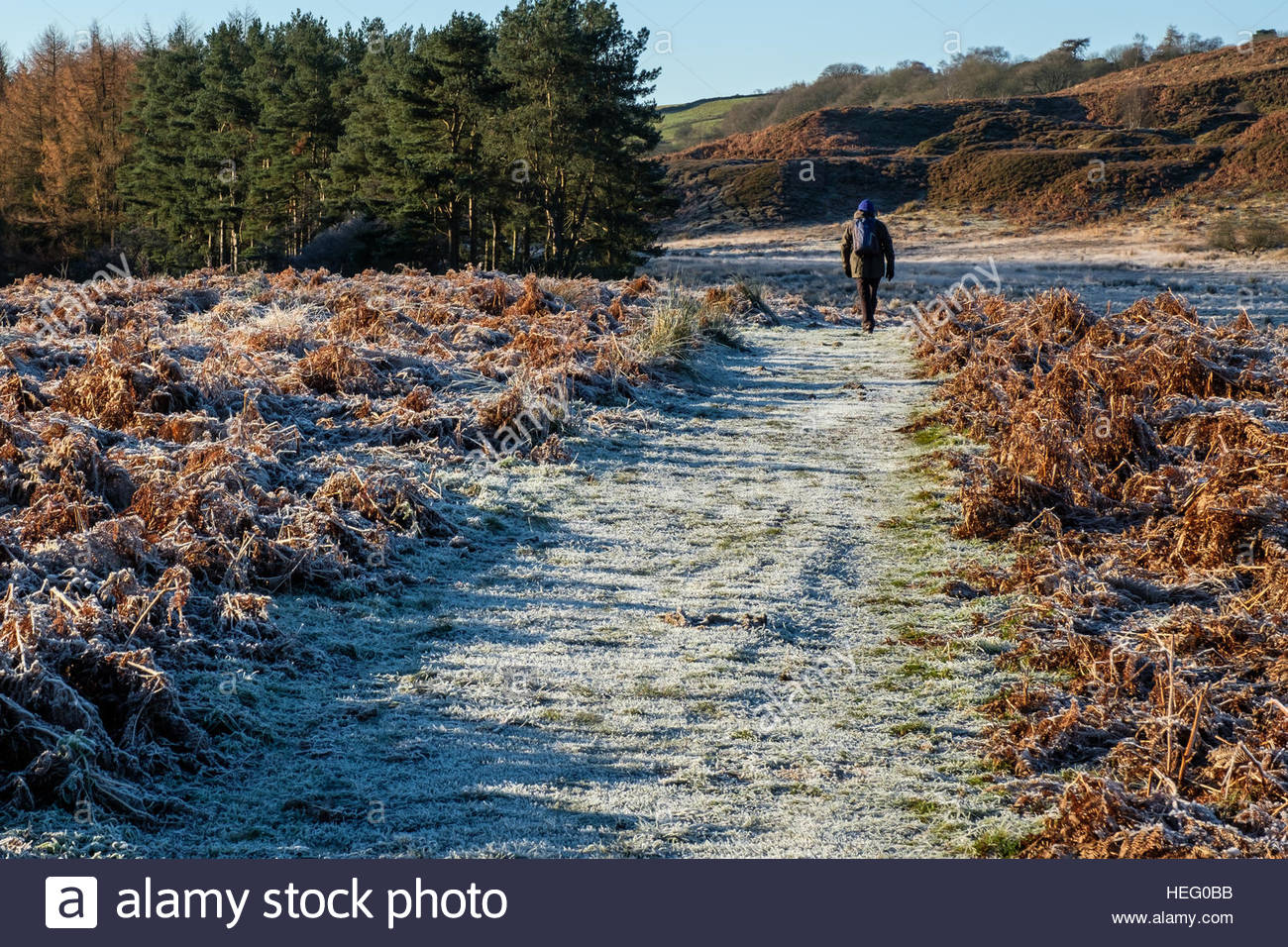 Cod Beck Reservoir, Osmotherley High Resolution Stock Photography and ...