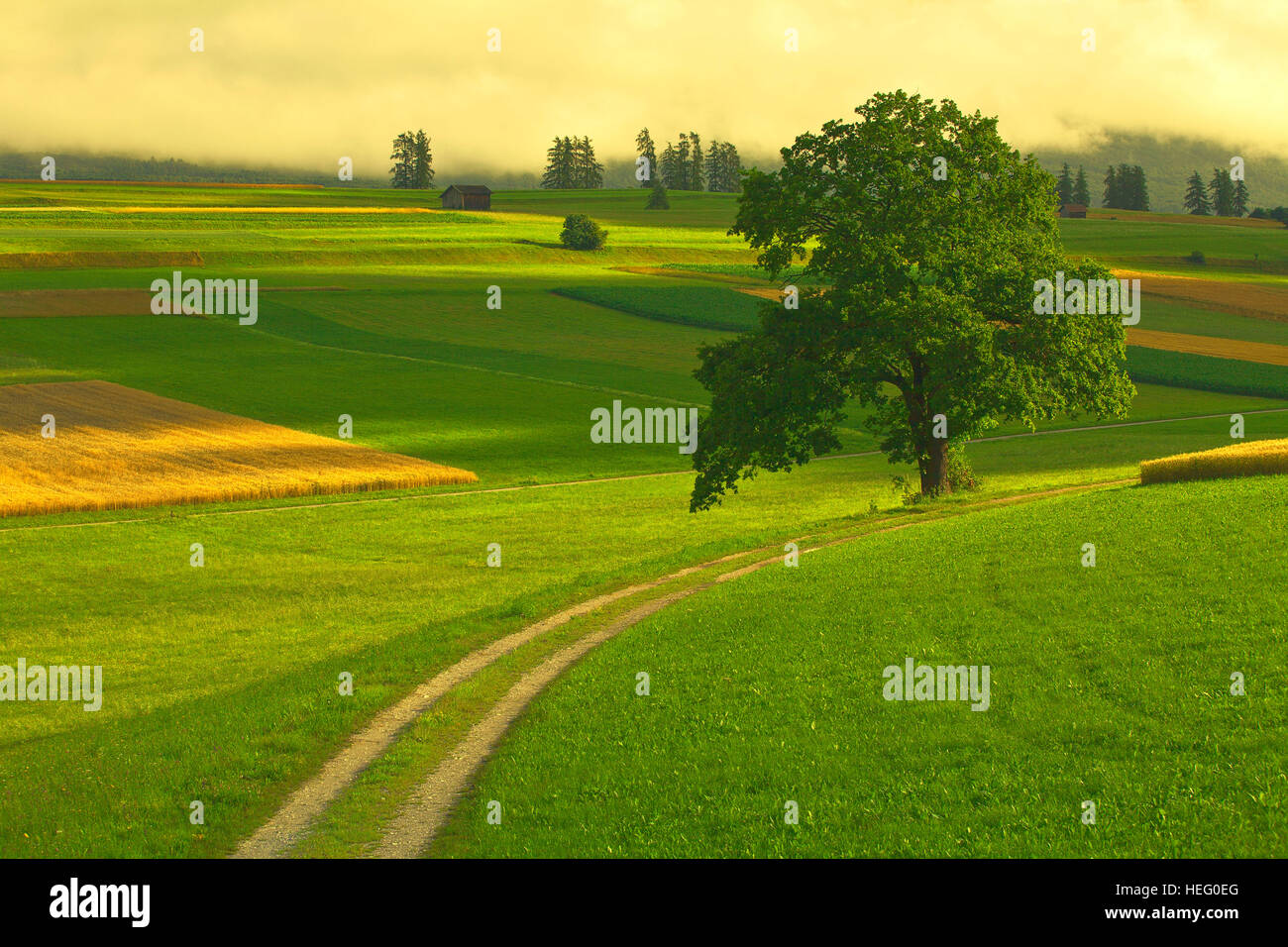 Fields in mieminger hi-res stock photography and images - Alamy