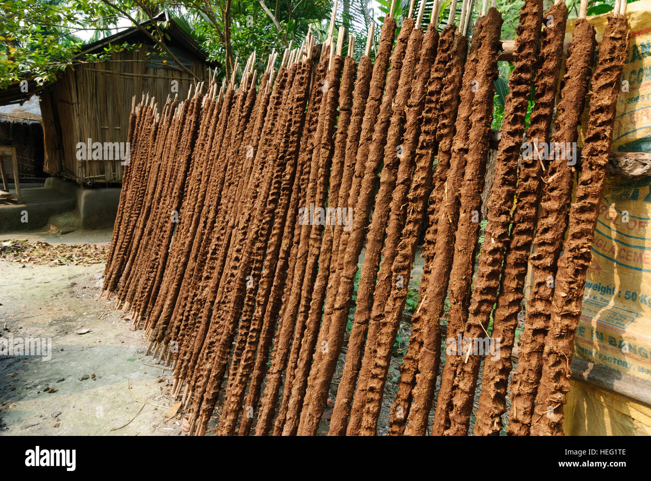 Cow dung hi-res stock photography and images - Alamy