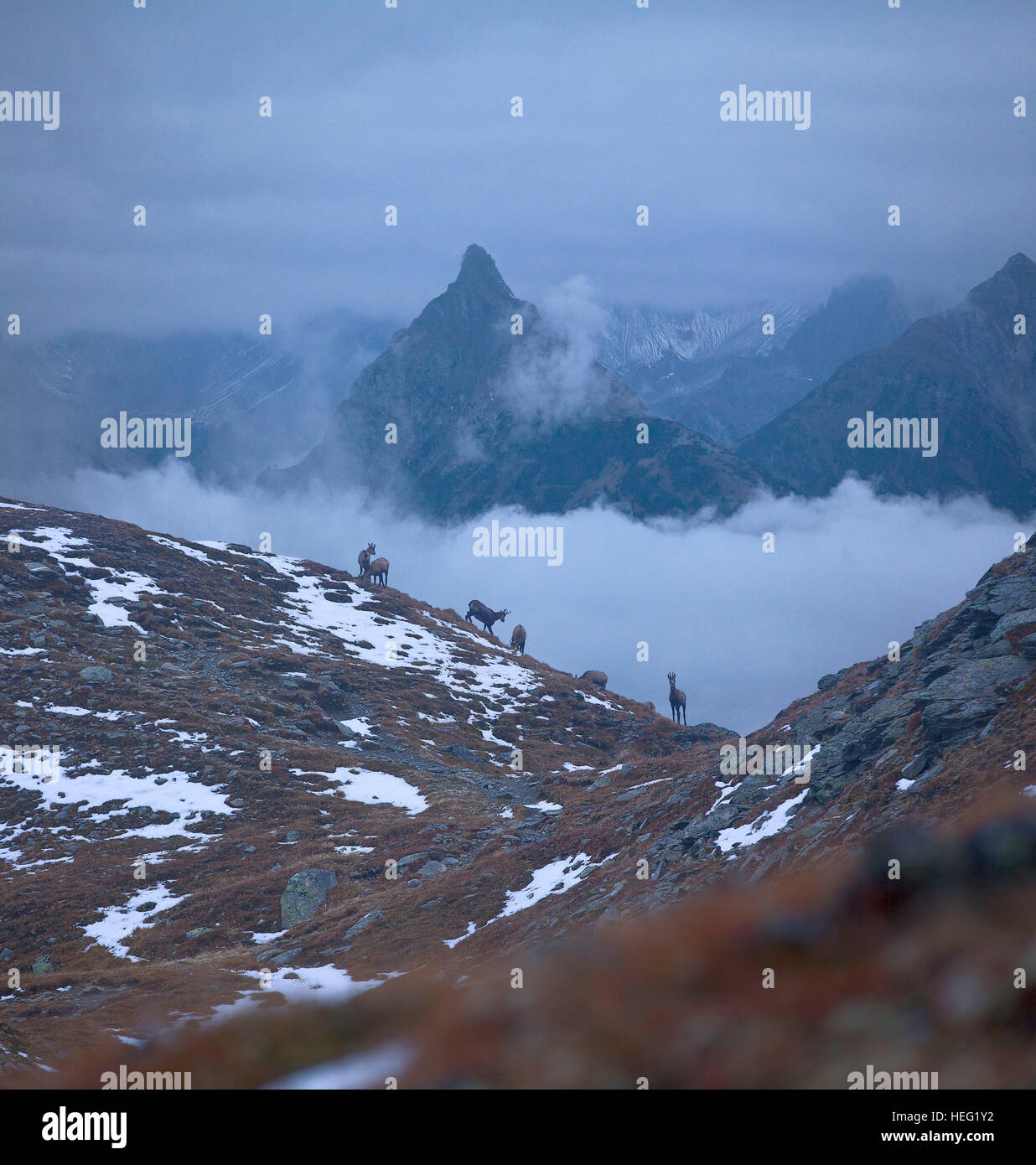 Zams village hi-res stock photography and images - Alamy