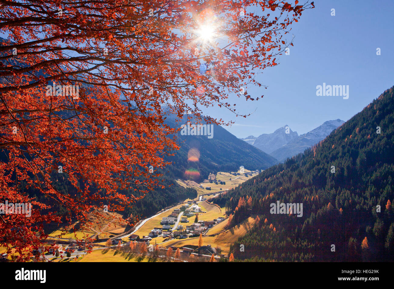 Austria, Tyrol, late autumn in Gries (village) in the Seelrain Stock ...
