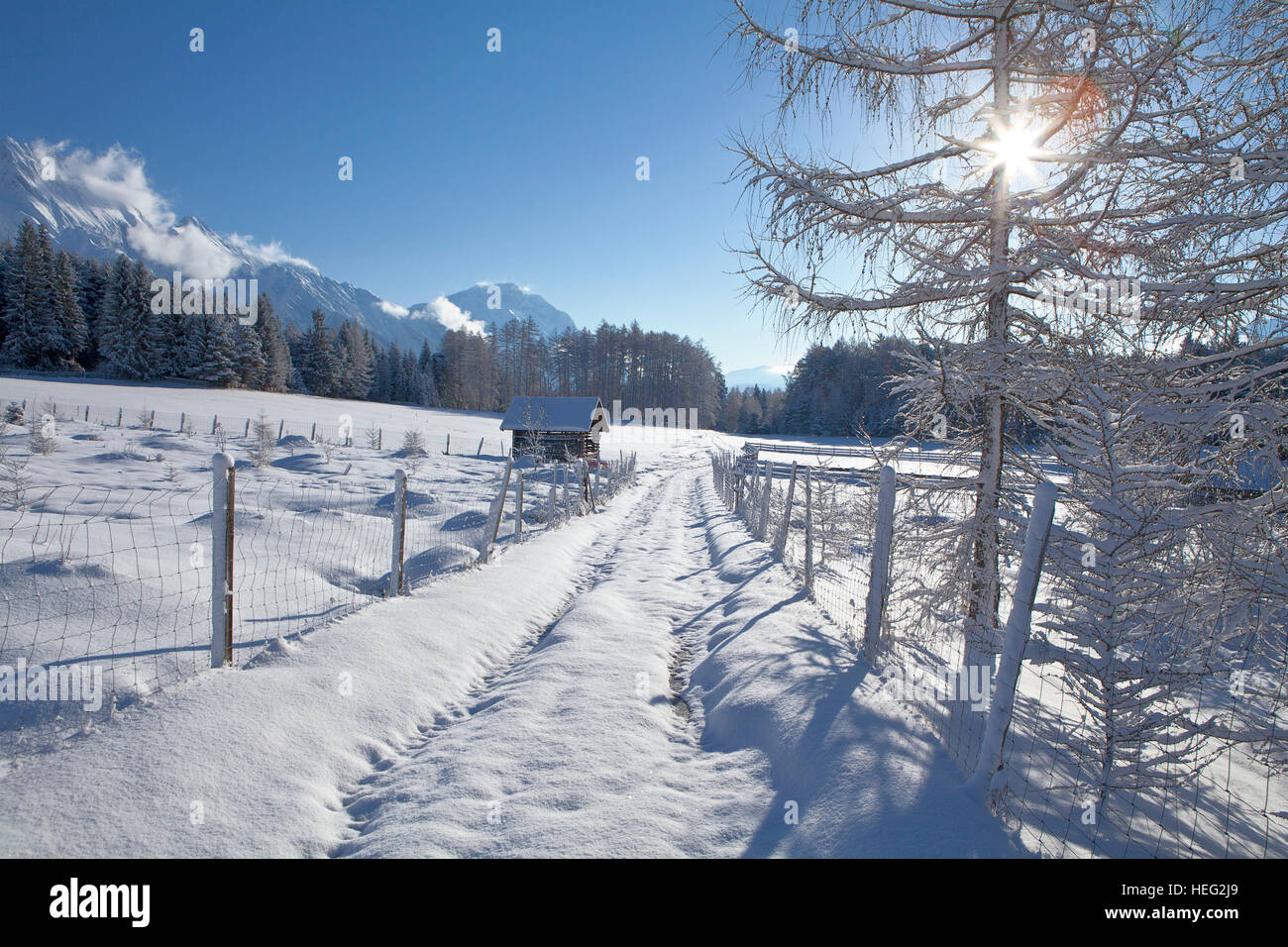 Austria, Tyrol, winter scenery in the Mieminger plateau Stock Photo - Alamy