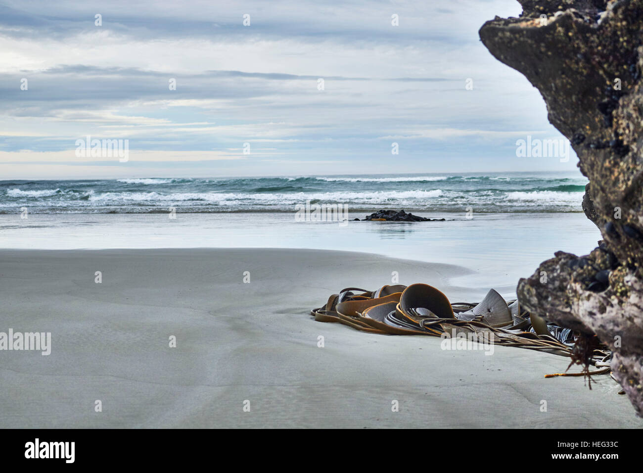 New zealand dunedin brighton beach hi-res stock photography and images ...