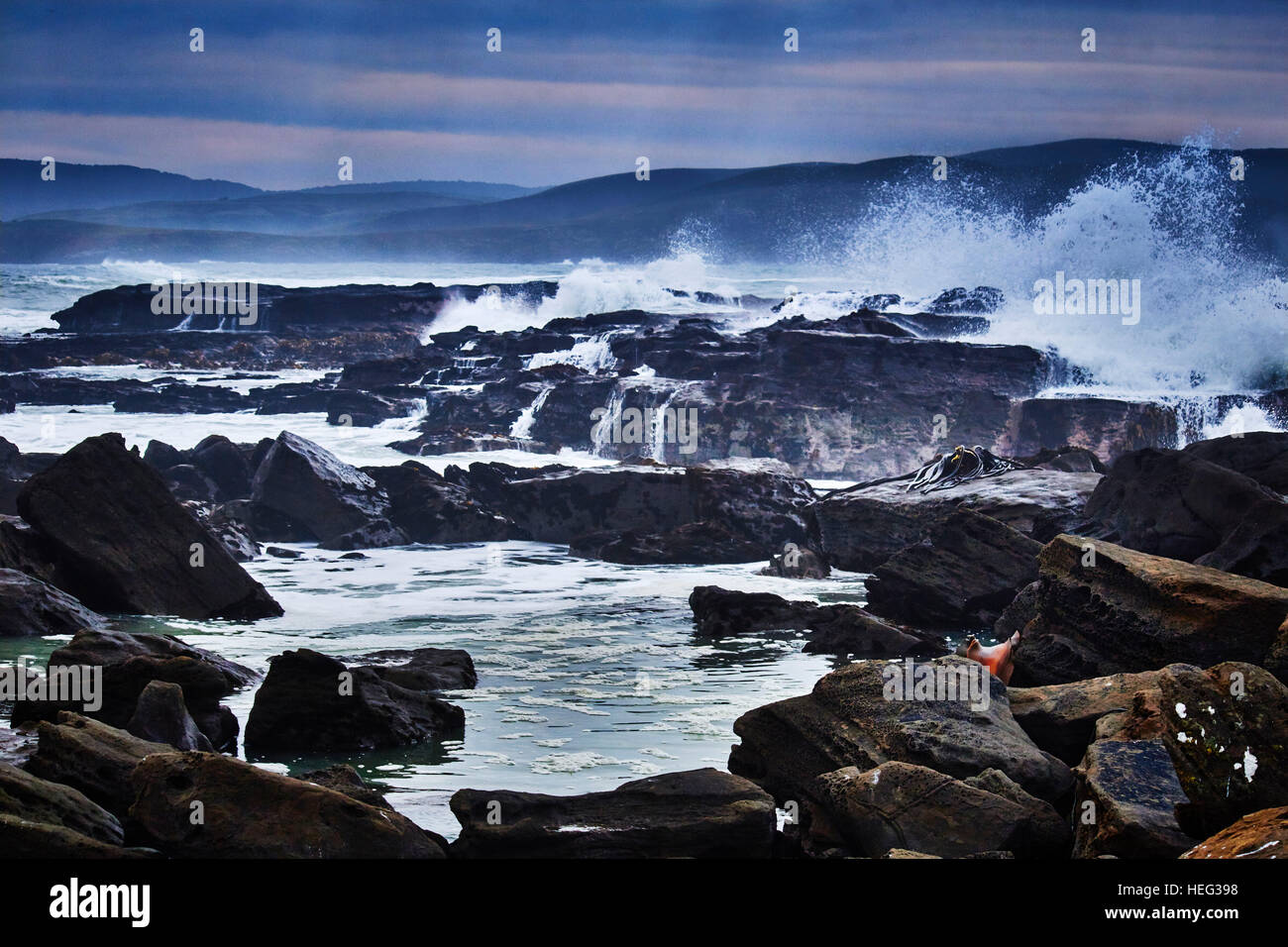 New Zealand, south island, southern scenic route, the catlins, jagged ...
