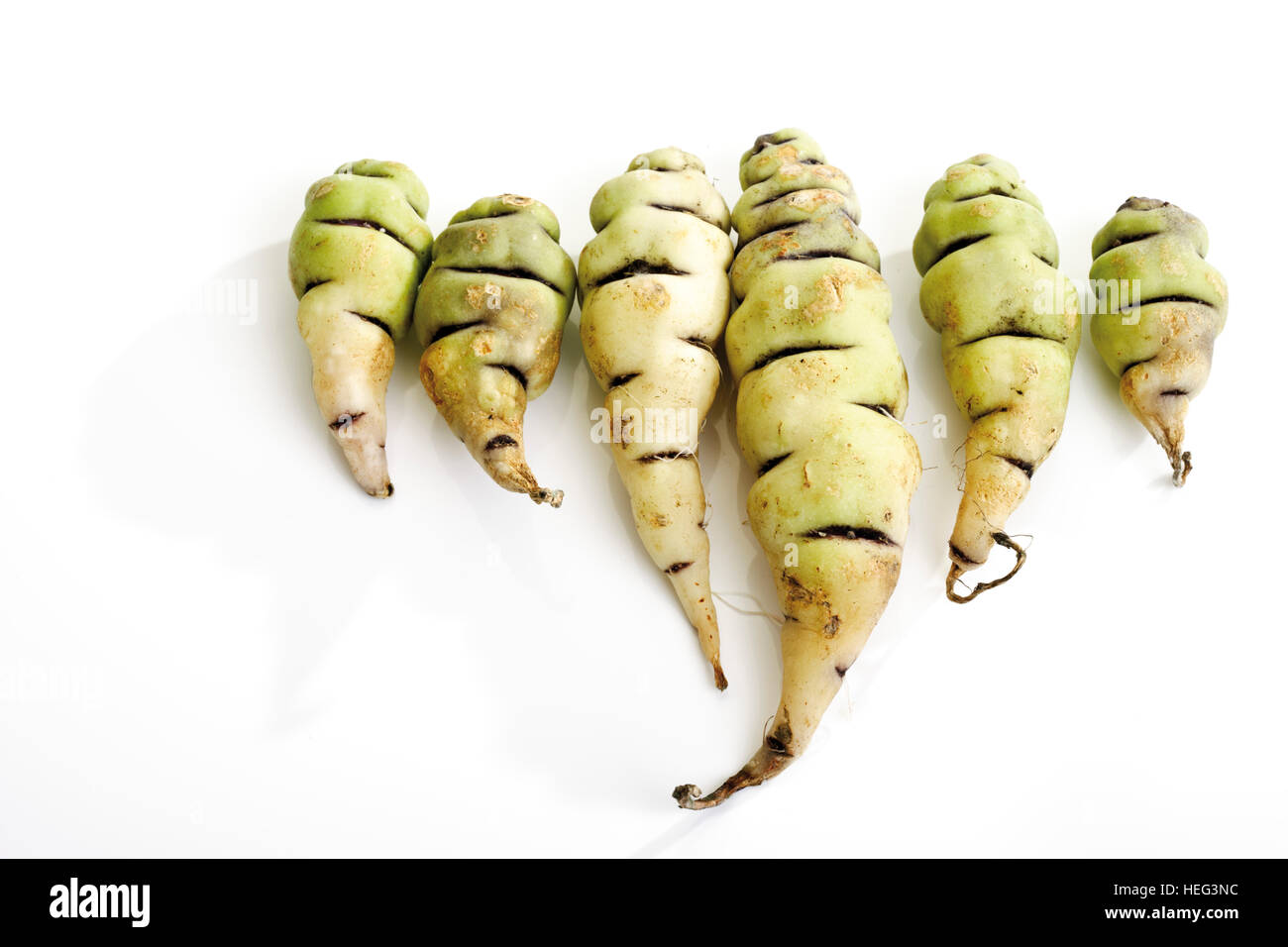 Mashua or Mashwa (Tropaeolum tuberosum Stock Photo - Alamy