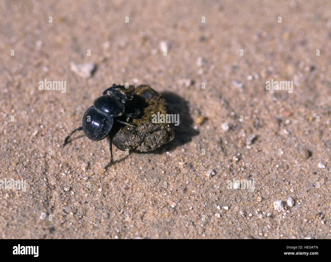 Rolling Desert High Resolution Stock Photography and Images - Alamy