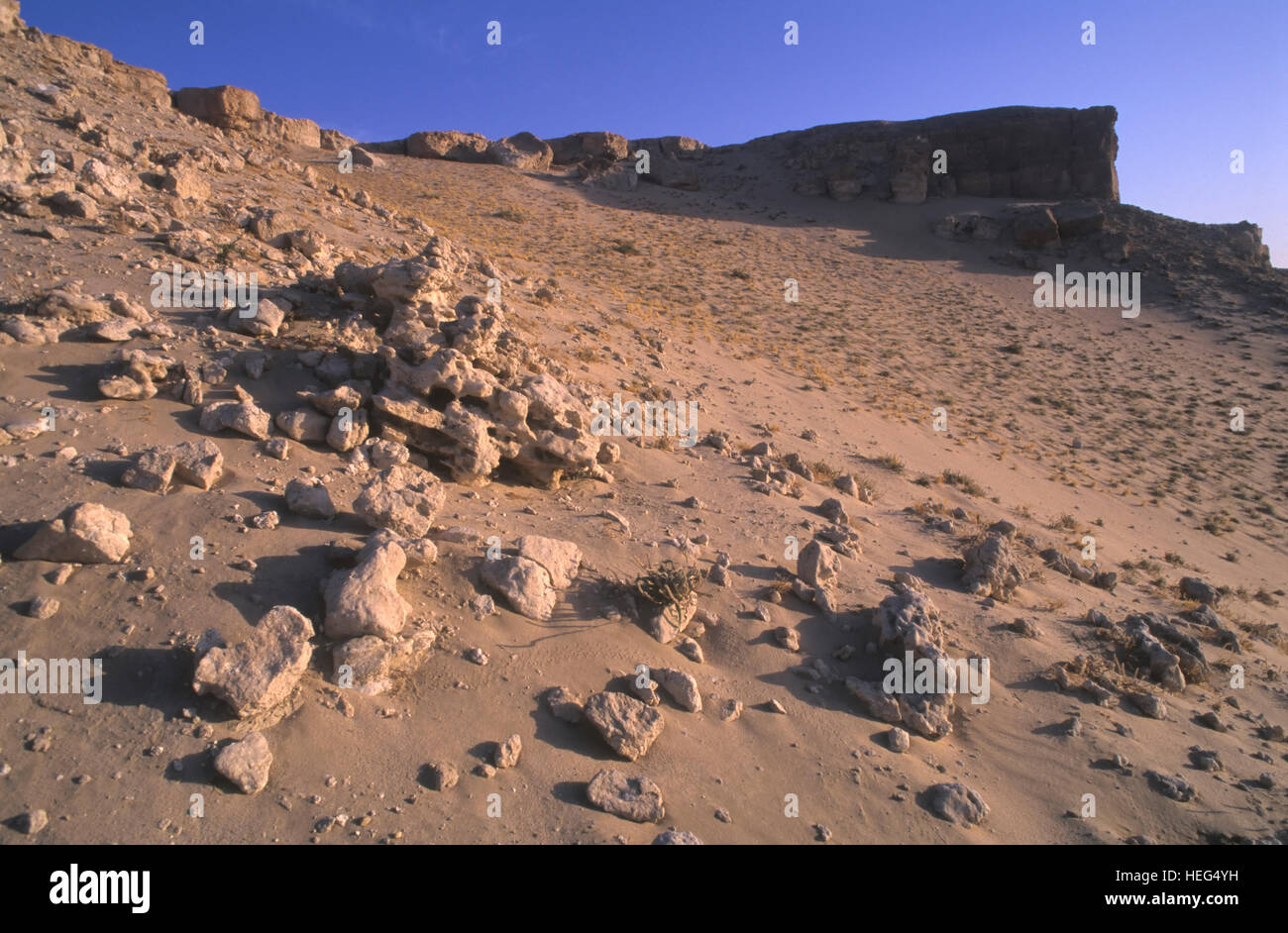 Kuwait Landscape High Resolution Stock Photography and Images - Alamy