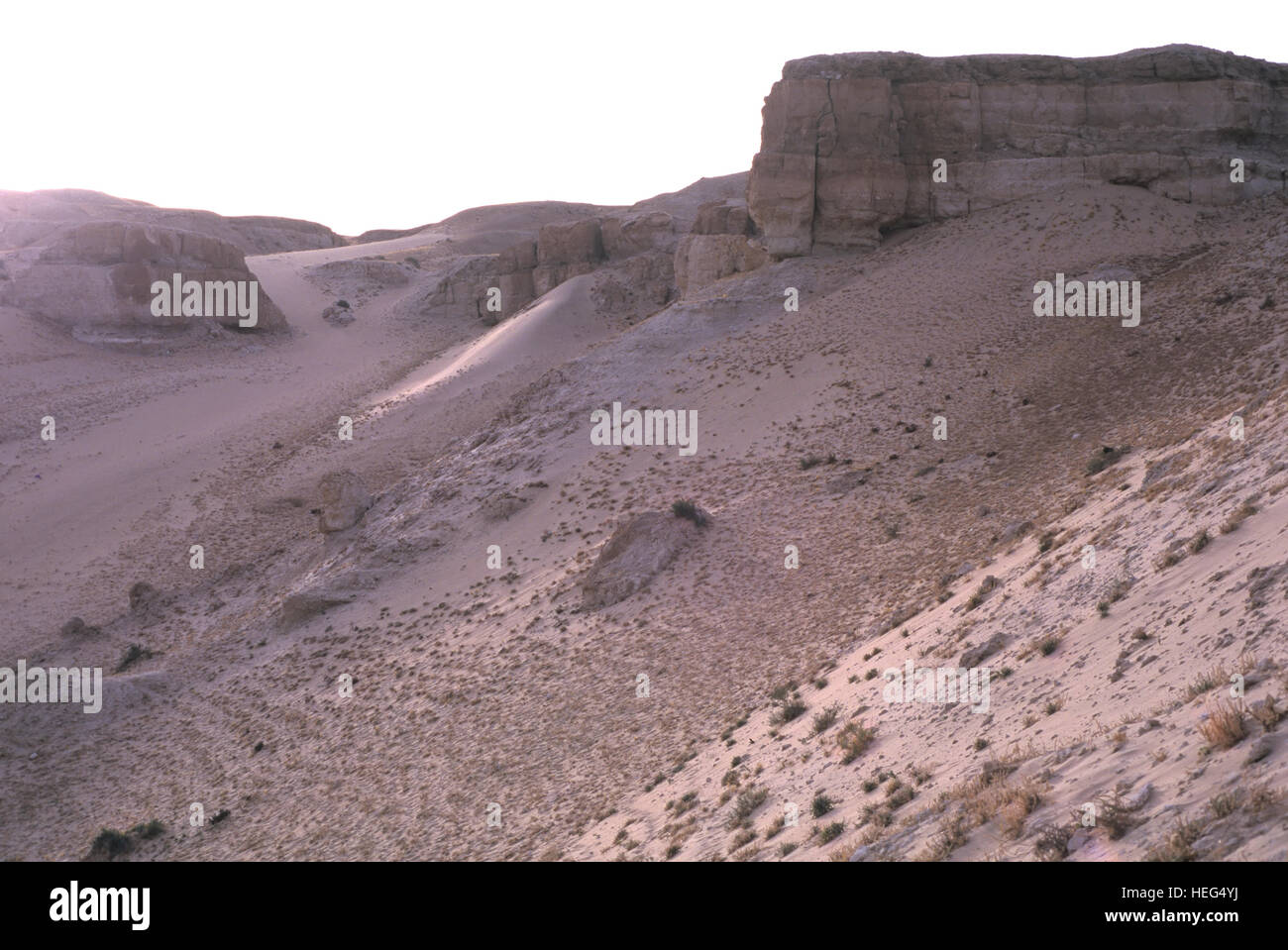 Kuwait Sand High Resolution Stock Photography and Images - Alamy