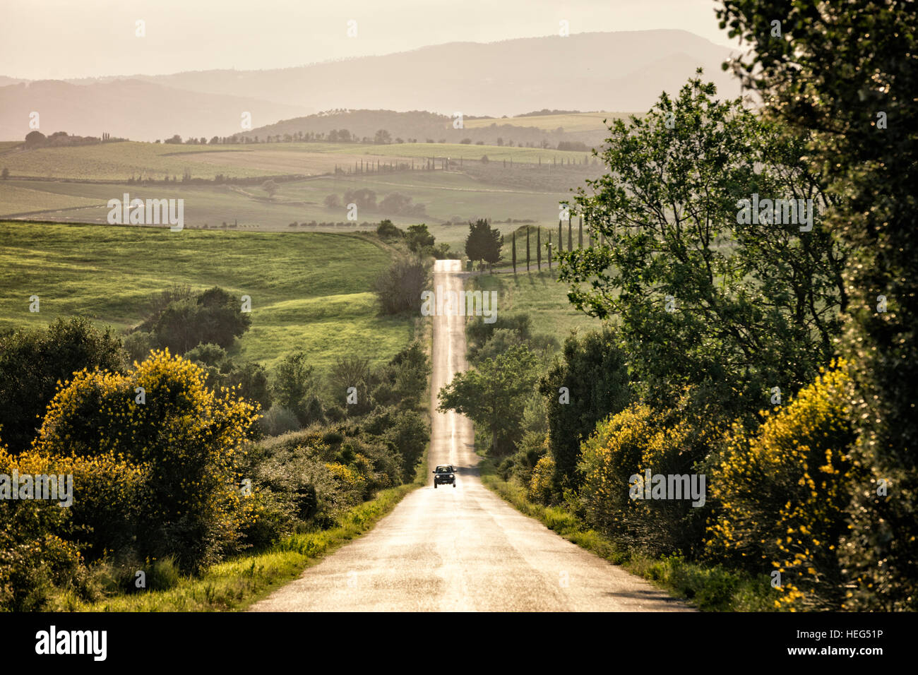 Tuscan country road by the vineyards of Montalcino, Italy, Siena Stock ...