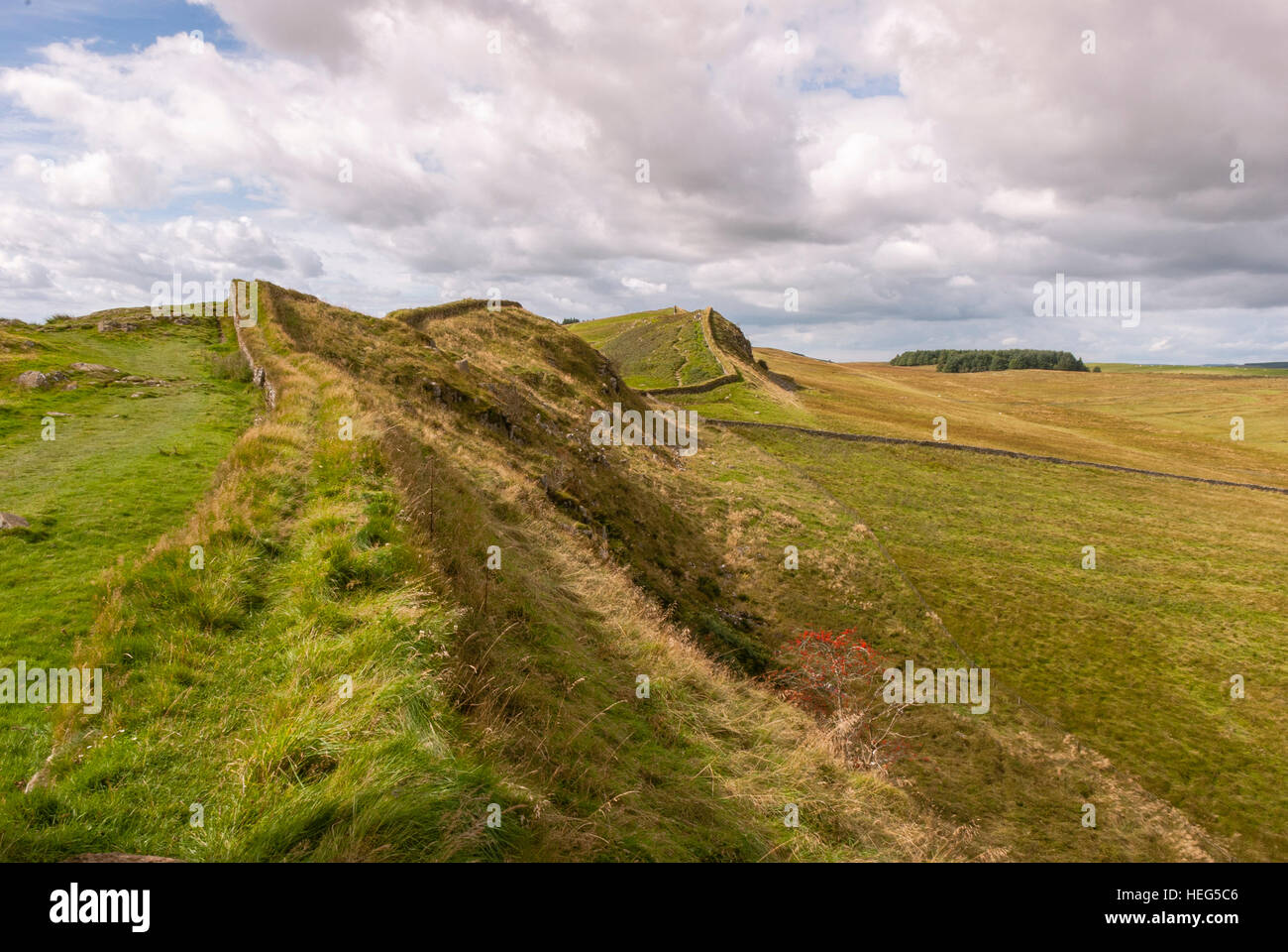 Hadrian's Wall in Northern England Stock Photo - Alamy