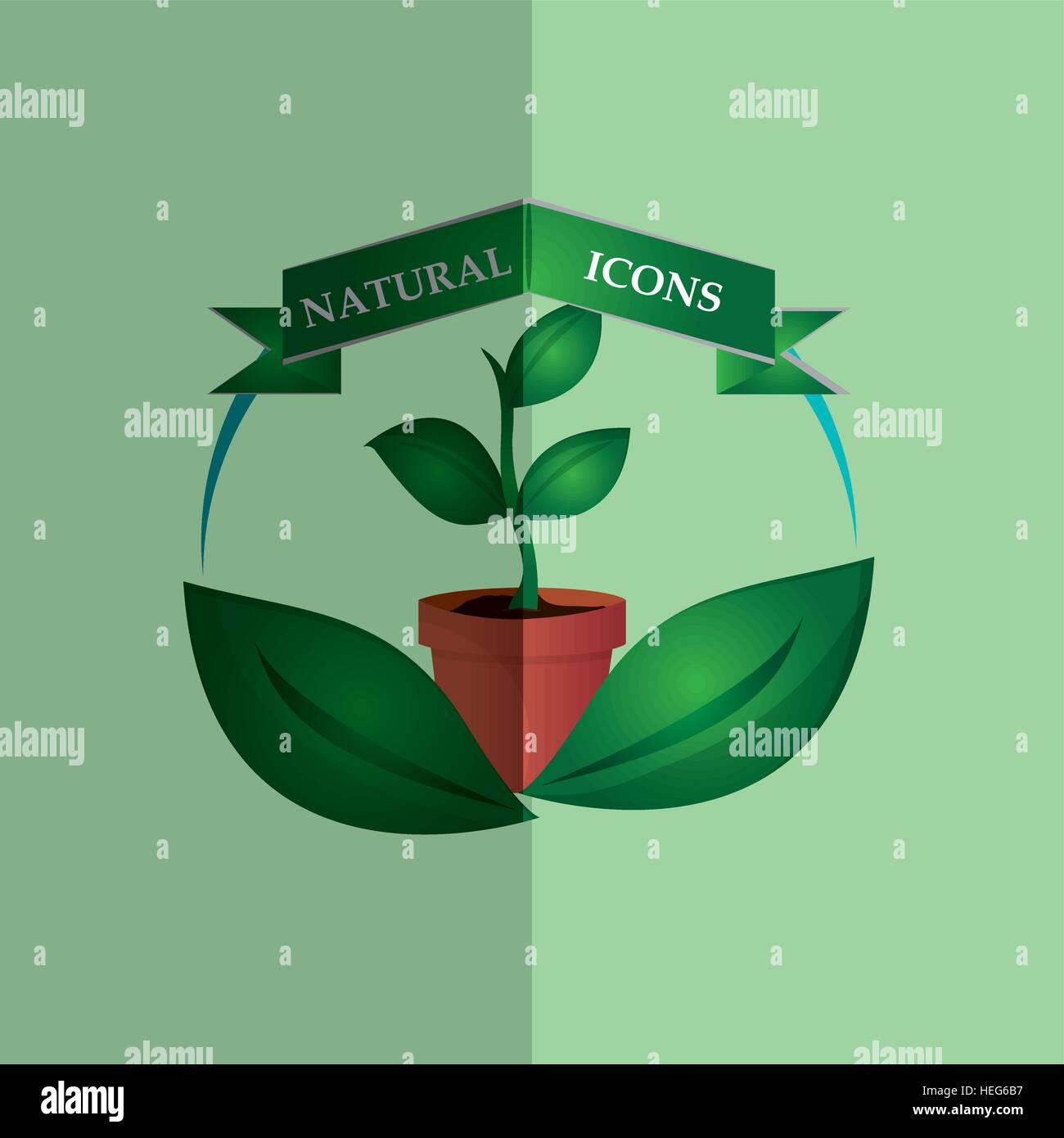Natural and eco design, vector illustration Stock Vector Image & Art ...