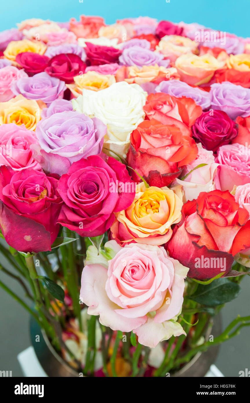 Bunch of roses in a vase Stock Photo - Alamy