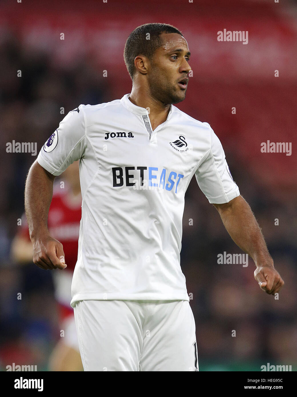 Swansea City's Wayne Routledge Stock Photo - Alamy