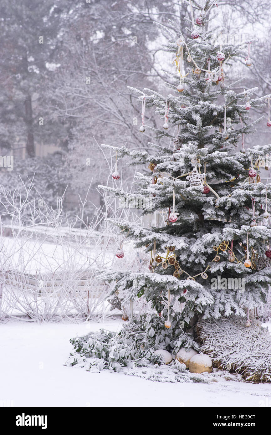 Decorated Christmas Tree at snow winter weather Stock Photo - Alamy