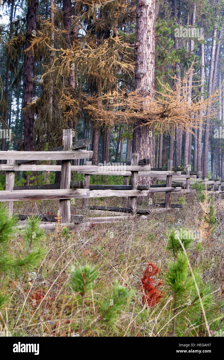 Rail Fence with trees in the Fall Stock Photo - Alamy