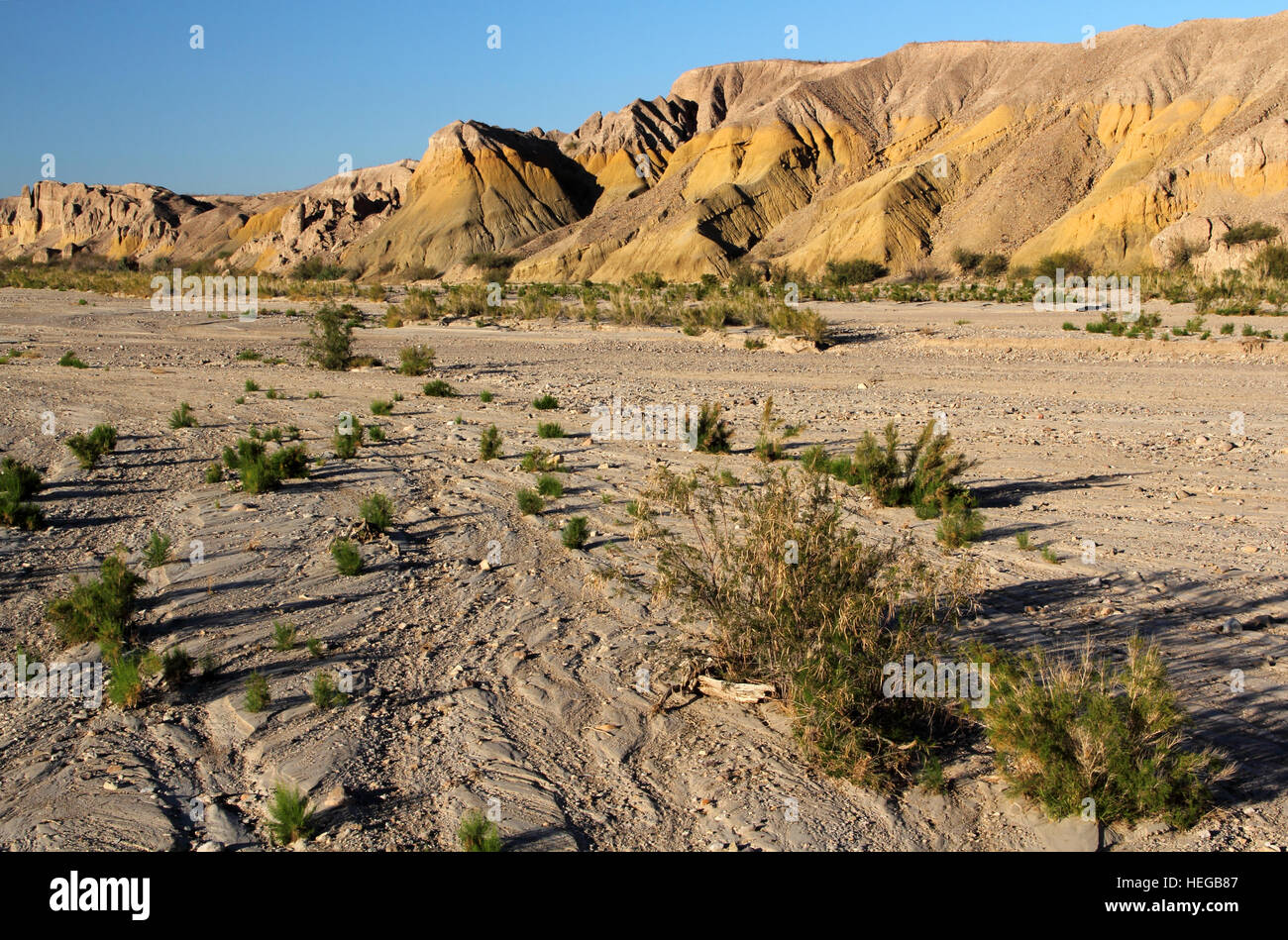 Beautiful Southwestern Landscape in Big Bend National Park, Texas Stock ...