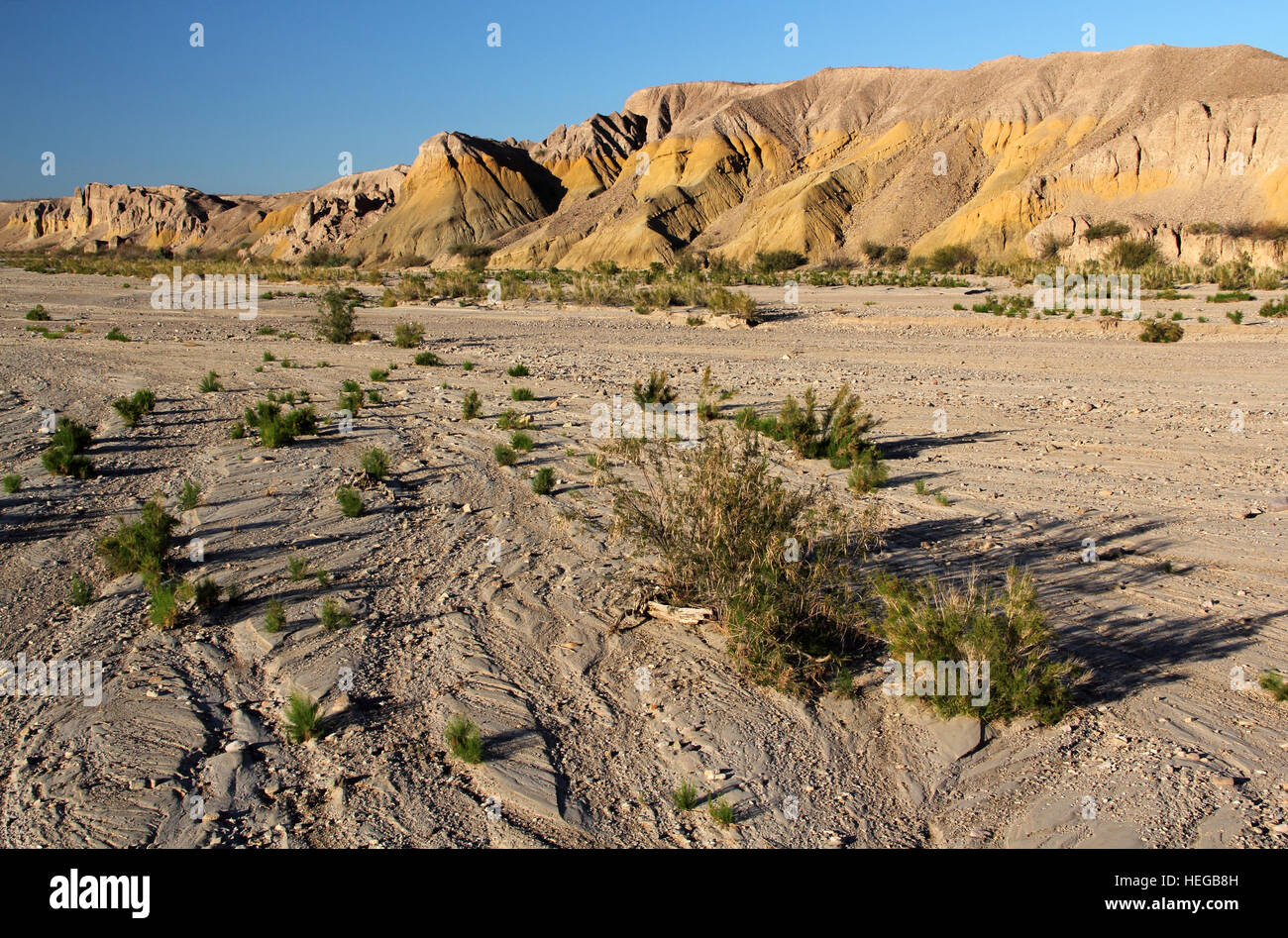 Beautiful Southwestern Landscape in Big Bend National Park, Texas Stock ...
