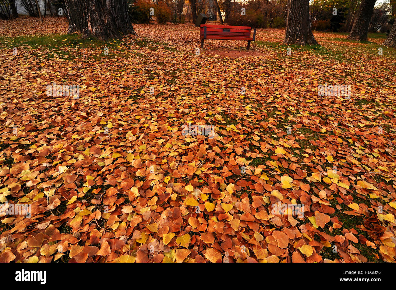 Covering of grass hi-res stock photography and images - Alamy