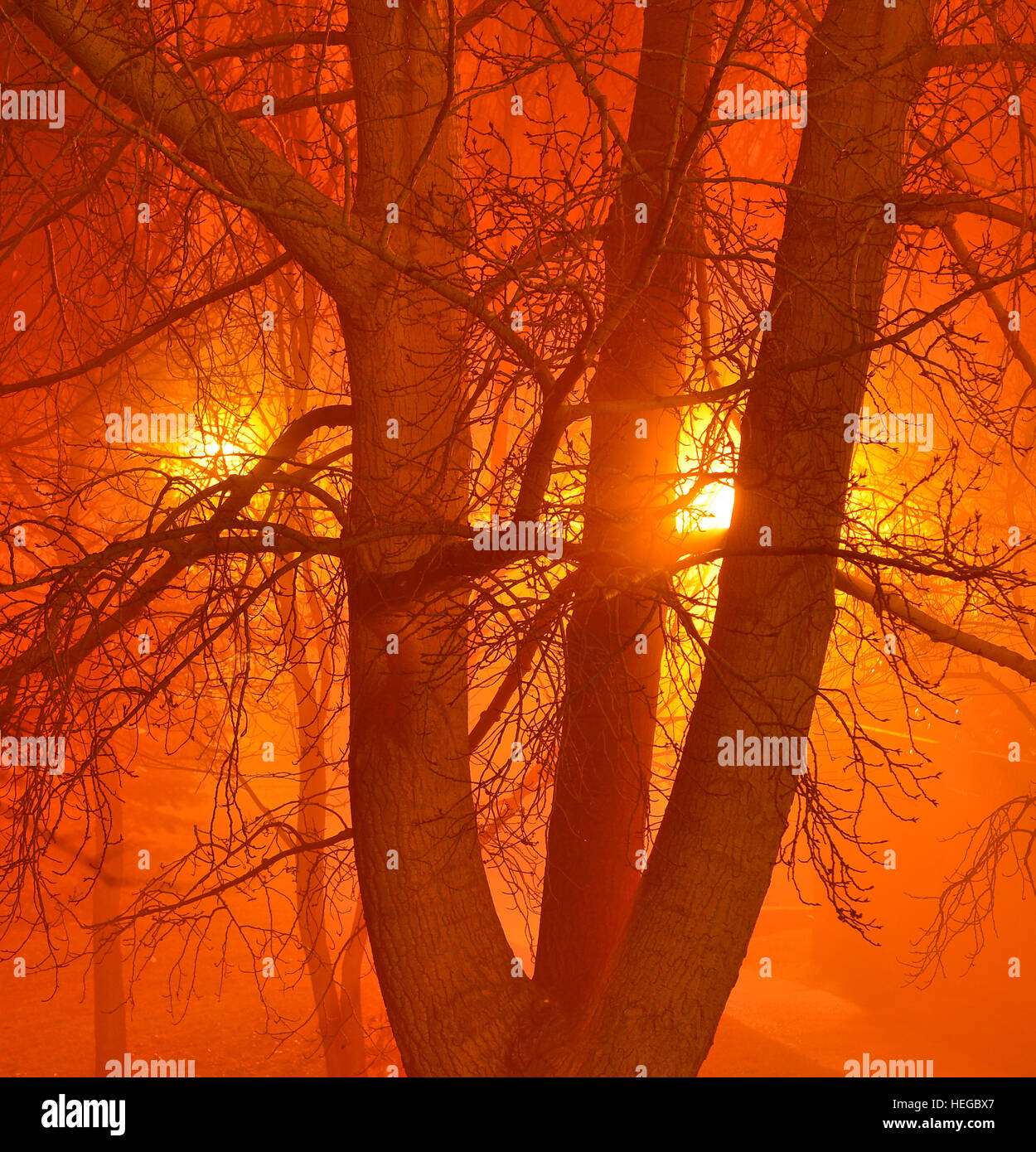Yellow and orange glow hi-res stock photography and images - Alamy