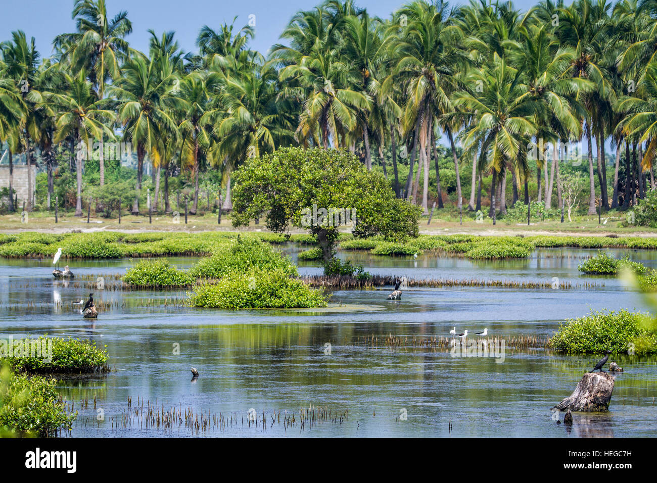 Kalpitiya hi-res stock photography and images - Alamy