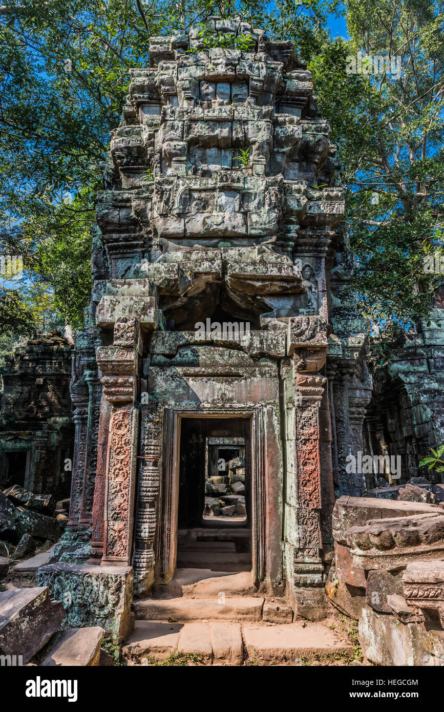 Ta Prohm Angkor Wat Cambodia Stock Photo - Alamy