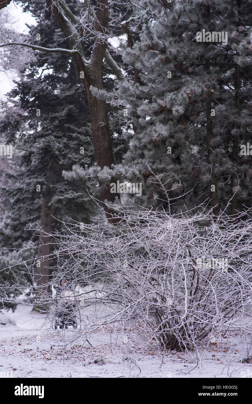 Botanical Garden Vienna High Resolution Stock Photography and Images ...