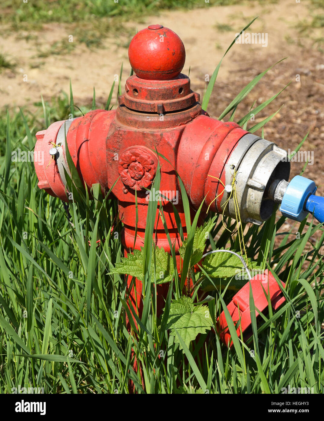 Fire hydrant in the park Stock Photo - Alamy