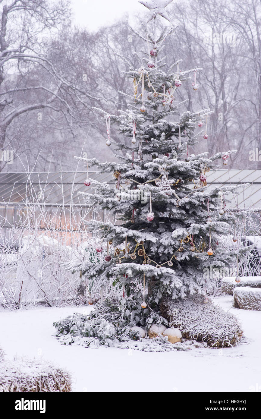 Decorated christmas tree forest night hi-res stock photography and ...