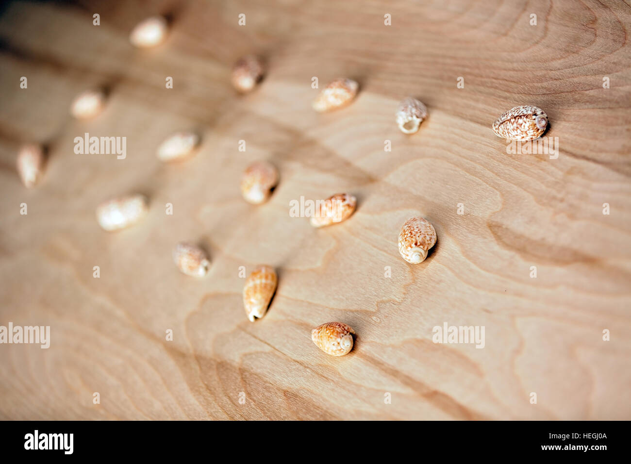 Uniformity hi-res stock photography and images - Alamy