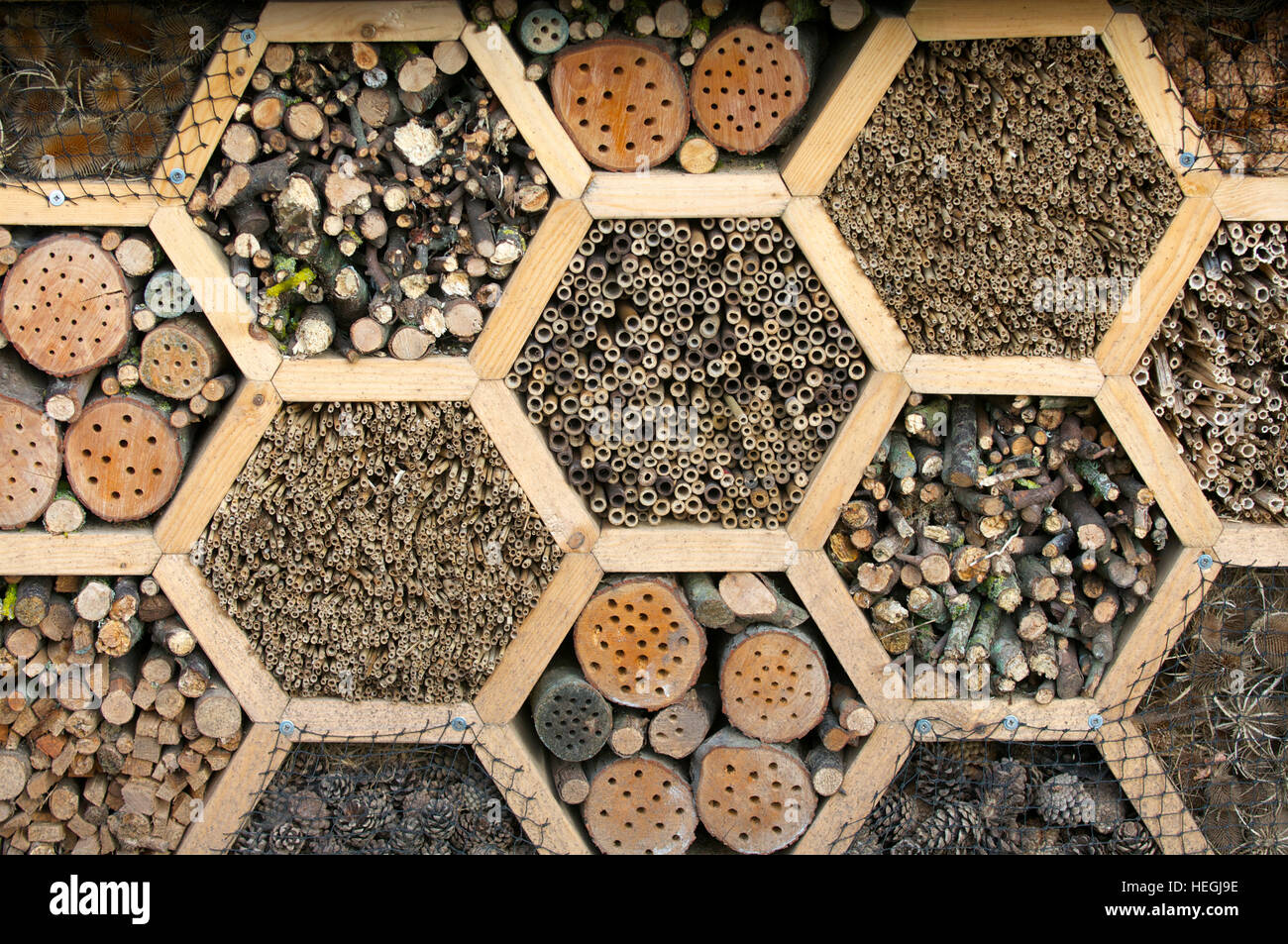 Insect hotel, UK Stock Photo - Alamy