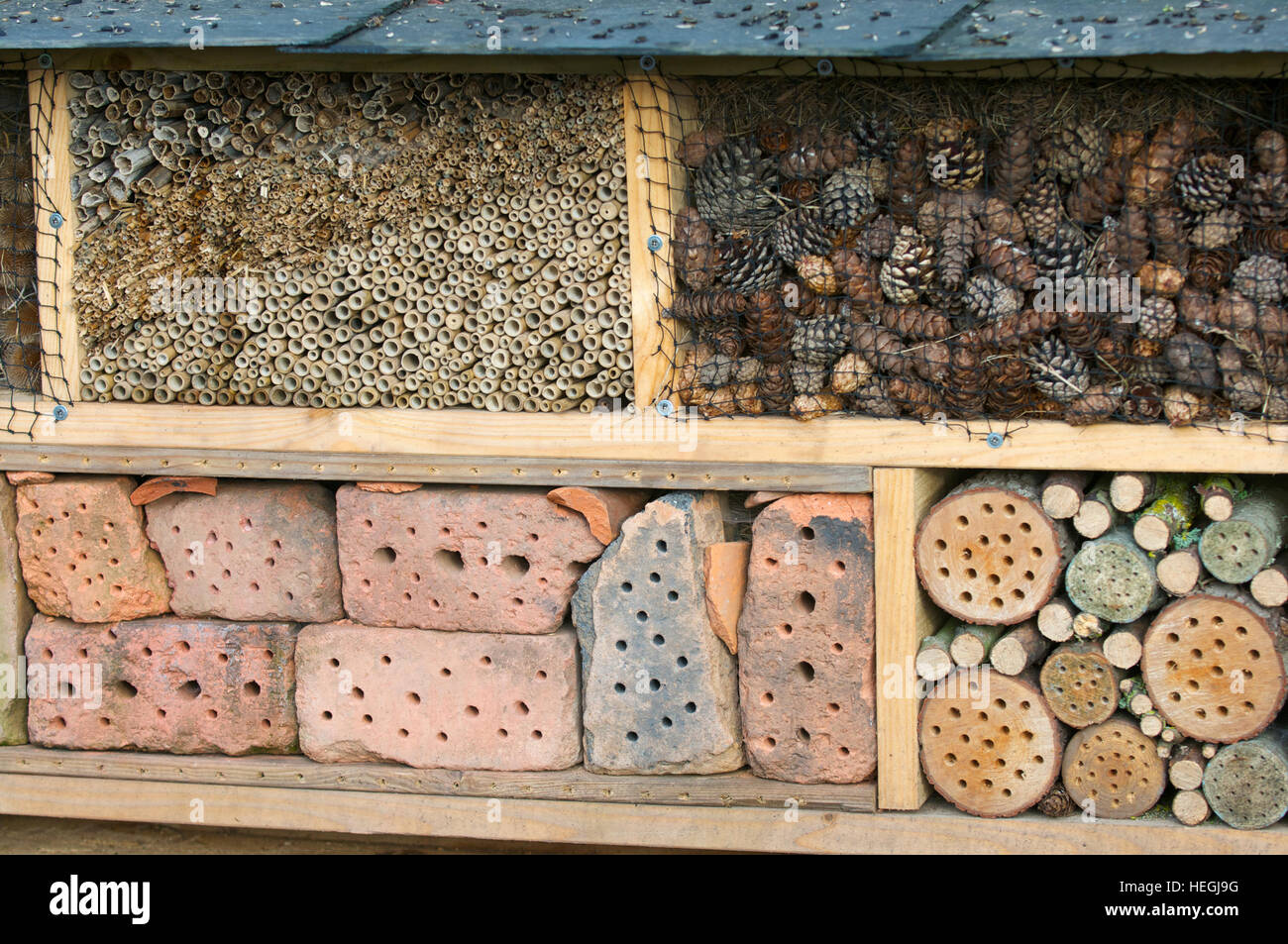 Insect bug hotel hi-res stock photography and images - Alamy
