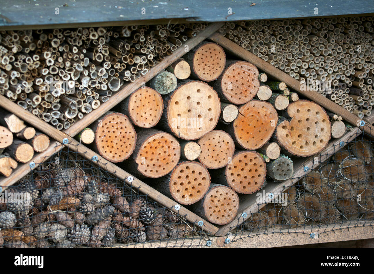 Insect bug hotel hi-res stock photography and images - Alamy