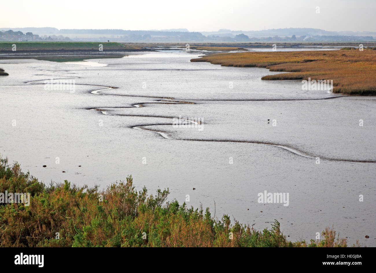 A view of a creek in salt marshes at low tide in North Norfolk at ...
