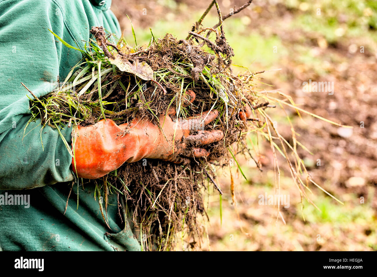 Gardening means getting dirty Stock Photo - Alamy