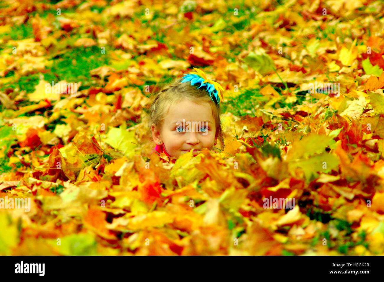 little girl hide herself in yellow leaves in the Autumn park Stock Photo - Alamy