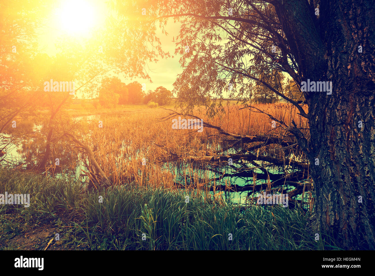 Rural wild landscape with lake at magical sunset Stock Photo - Alamy