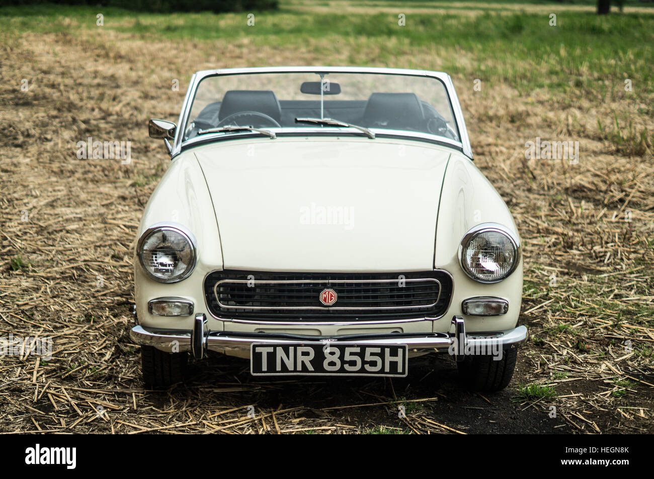 MG Midget head on, front on in the countryside Stock Photo - Alamy